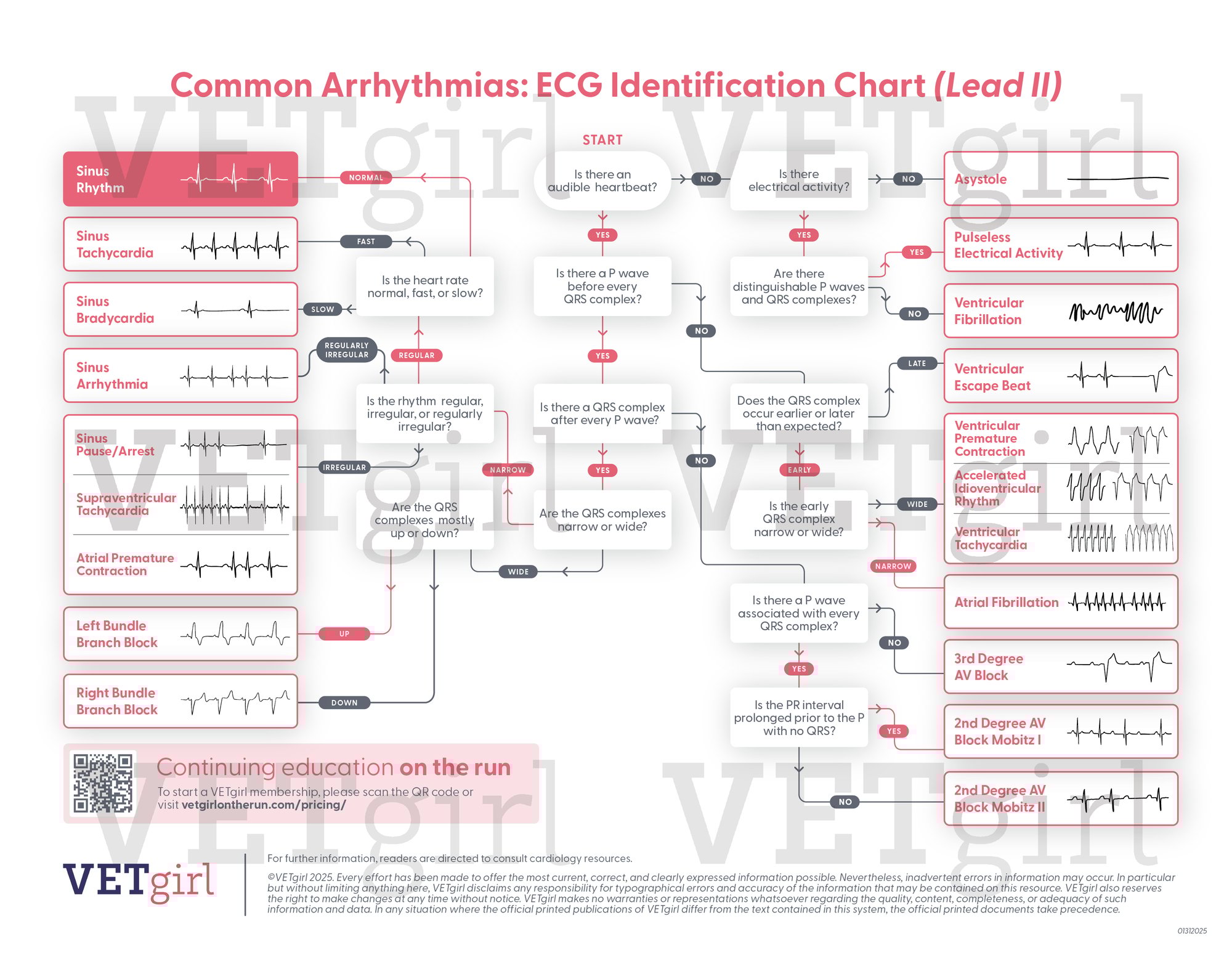 ECG Identification Chart